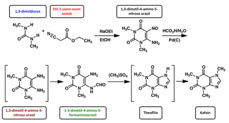 MINUMAN BERKAFEIN NON-KOPI - Coffee & Cacao Training Center